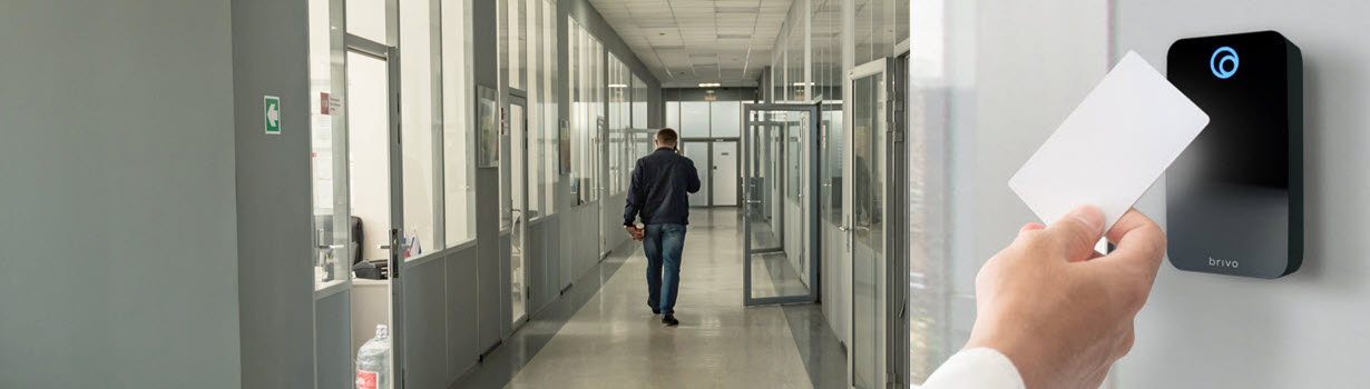 Mirador Systems – Navigating the world of security and communications.